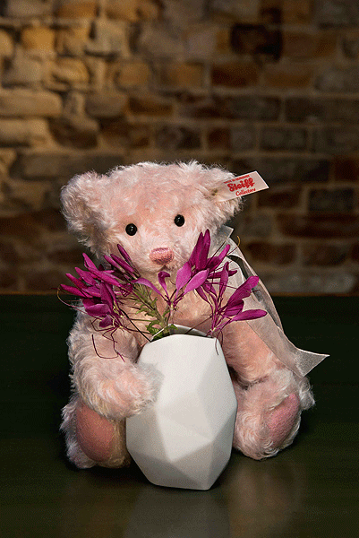 Steiff Rose Teddy Bear With Vase 006760 | Ashby Bears