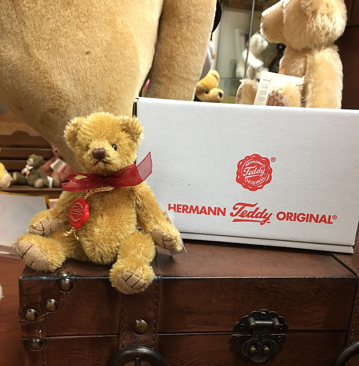 Teddy Hermann 2022 Club Gift Teddy Bear 016526 | Ashby Bears UK