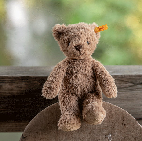 Steiff Thommy Teddy Bear 067174 | Ashby Bears