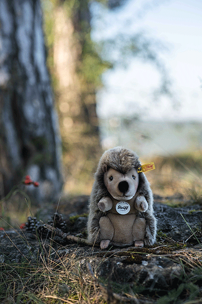 Steiff Joggi Hedgehog 067211 | Ashby Bears Steiff UK Authorised Dealer