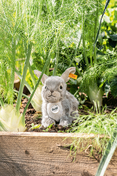 Steiff Dormili Rabbit 067488 | Ashby Bears Steiff UK Authorised Dealer