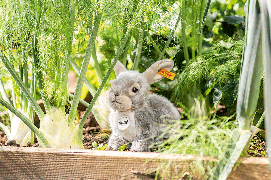 Steiff Dormili Rabbit 067488 | Ashby Bears Steiff UK Authorised Dealer