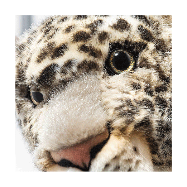 Steiff Parddy Leopard 067518 | Ashby Bears Steiff UK Authorised Dealer