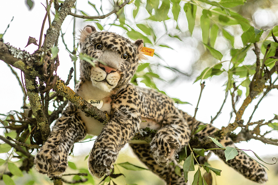 Steiff Parddy Leopard 067518 | Ashby Bears Steiff UK Authorised Dealer