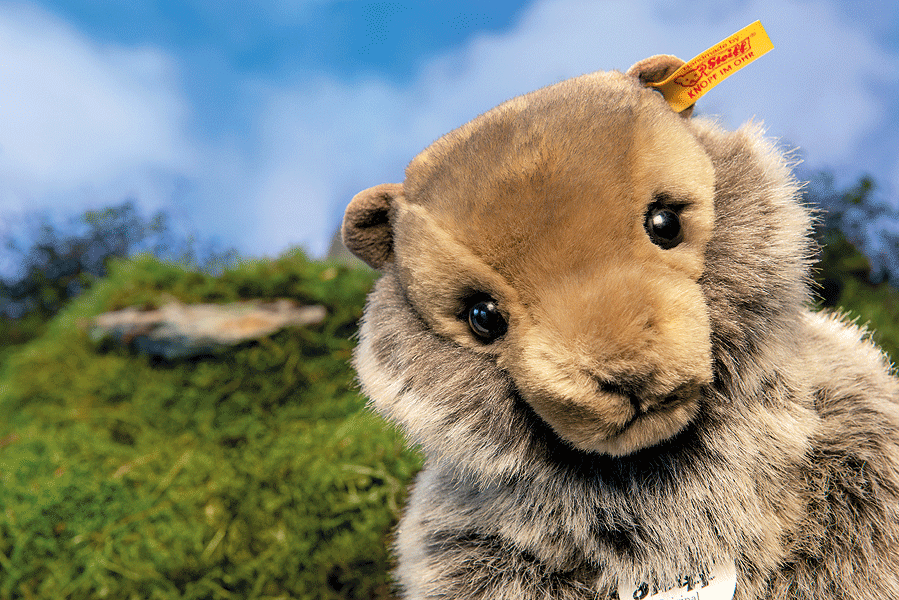 Steiff Burri Marmot 084133 | Ashby Bears Steiff UK Authorised Dealer