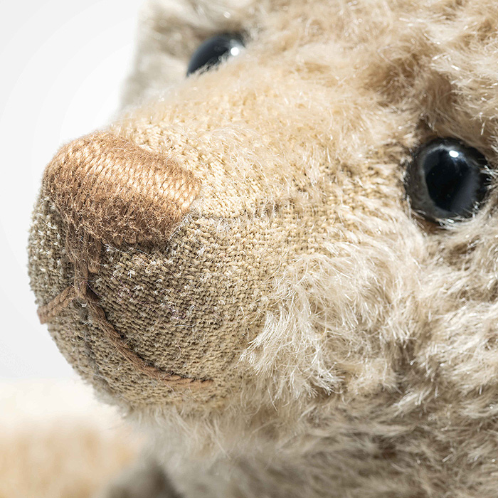 Steiff 1910 Teddy Bear Replica 403545 | Ashby Bears